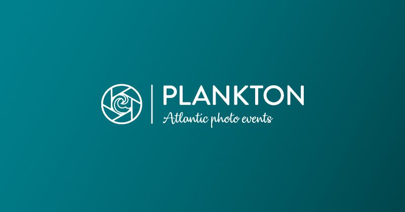 Meet the Plankton Team and Models | Professional Photography